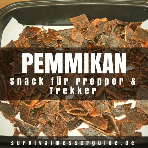 Pemmikan - 3 Einfache Rezepte Zum Selber Machen