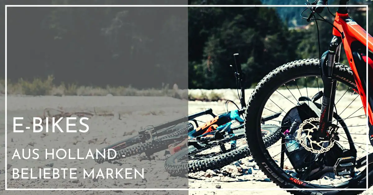 E Bike Niederlande Marken